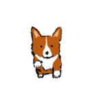 Corgi's run コーギーズラン | LINEスタンプ | みずき@mohumohu studio