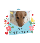 わんちゃんの言葉1 | LINEスタンプ | sapuli