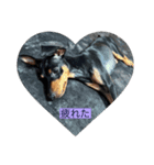 ミニピンReokun | LINEスタンプ | azusa！